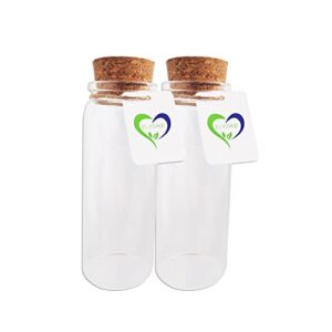 ELYSAID 2pcs Empty Clear Glass Bottles Vials with Cork Stopper Storage Jars 47mm Bottle Diameter (47x120x33mm 150ml)