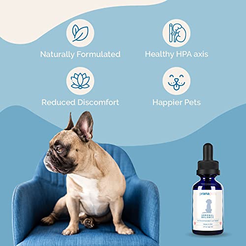 Adrenal Balance for Dogs with Cushing’s | Naturally Relieves Symptoms of Cushing's Disease in Dogs | Licorice Free Herbal Formula for Dogs with Cushing’s Disease | by Prana Pets