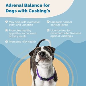 Adrenal Balance for Dogs with Cushing’s | Naturally Relieves Symptoms of Cushing's Disease in Dogs | Licorice Free Herbal Formula for Dogs with Cushing’s Disease | by Prana Pets