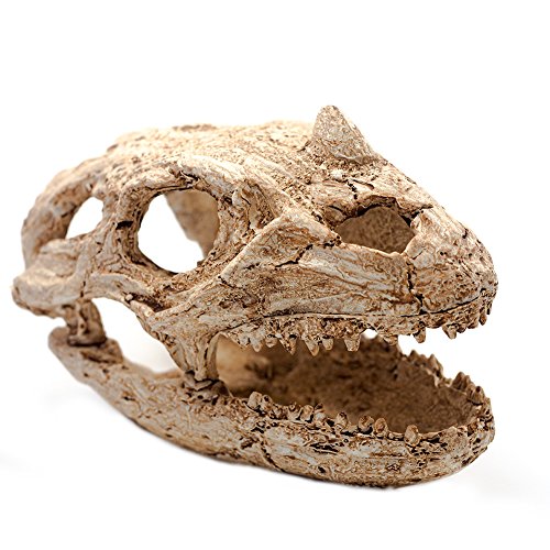 OMEM Natural Reptile Decorative Dinosaur Skull Hideaway Resin Made (L)