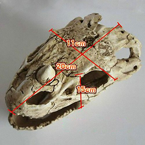 OMEM Natural Reptile Decorative Dinosaur Skull Hideaway Resin Made (L)