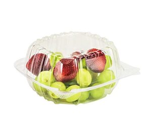 dart hinged lid plastic container, medium, clear