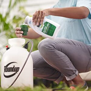 Roundup 5008410 Lawns 5 Concentrate, 32oz