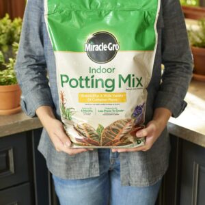 Miracle-Gro Indoor Potting Mix 6 qt., Grows beautiful Houseplants