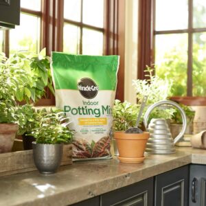 Miracle-Gro Indoor Potting Mix 6 qt., Grows beautiful Houseplants