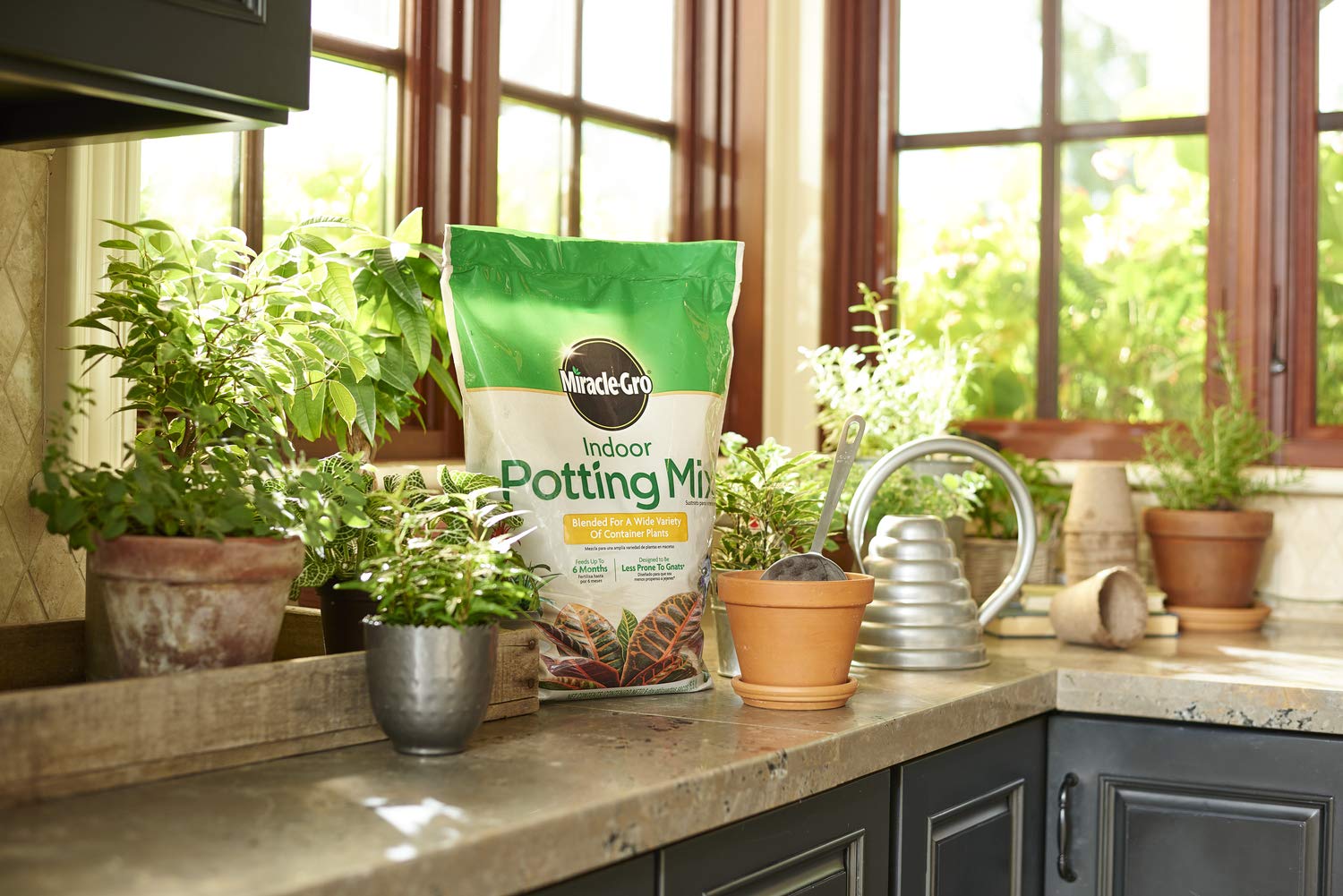 Miracle-Gro Indoor Potting Mix 6 qt., Grows beautiful Houseplants