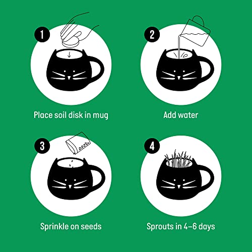 The Cat Ladies Organic Cat Grass Growing kit with Seed Mix, Soil and Black Cat Planter. Natural Hairball Control and Digestion Remedy for Cats