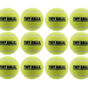 PetSport Tennis Ball Dog Toys | 6 Pack Medium (2.5") Pet Safe Non-Toxic Industrial Strength Felt & Rubber Tuff Balls | Play Fetch, Launch, Chuck or Toss at Dog Park