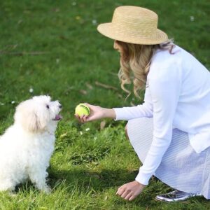 PetSport Tennis Ball Dog Toys | 6 Pack Medium (2.5") Pet Safe Non-Toxic Industrial Strength Felt & Rubber Tuff Balls | Play Fetch, Launch, Chuck or Toss at Dog Park