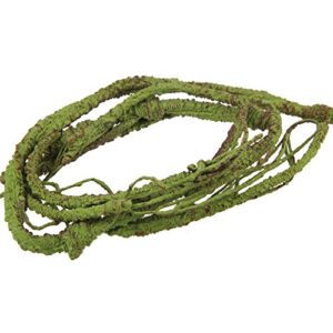 emours flexible realistic jungle vines pet habitat decor for lizard,frogs, snakes,chameleons and more reptiles, 3.6ft long