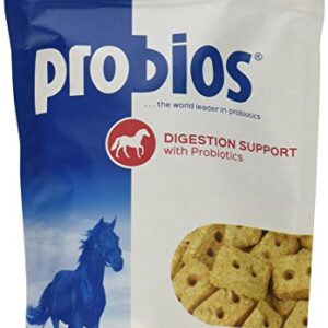 (3 Pack) Probios Probiotic Treats For Horses, Apple Flavor, 1 Pound Each