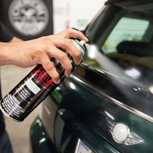 Chemical Guys TVDSPRAY100 Factory Finish Trim Coating and Protectant (Works on Trim, Tires, and Rubber) Safe for Cars, Trucks, Motorcycles, RVs & More 12 fl oz