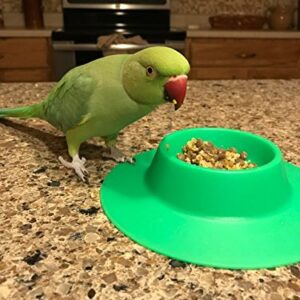 STAYbowl Tip-Proof Ergonomic Pet Bowl for Guinea Pig and Other Small Pets, 1/4-Cup Small Size, Spring Green