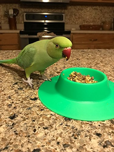 STAYbowl Tip-Proof Ergonomic Pet Bowl for Guinea Pig and Other Small Pets, 1/4-Cup Small Size, Spring Green