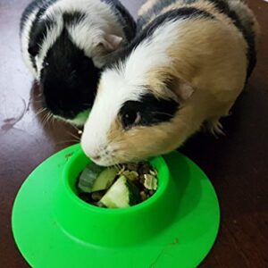 STAYbowl Tip-Proof Ergonomic Pet Bowl for Guinea Pig and Other Small Pets, 1/4-Cup Small Size, Spring Green