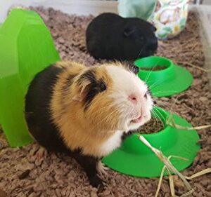 STAYbowl Tip-Proof Ergonomic Pet Bowl for Guinea Pig and Other Small Pets, 1/4-Cup Small Size, Spring Green