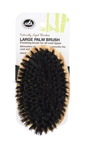 pet champion ptbbplmbr all natural bristle bamboo palm pet brush, large, brown