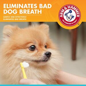 Arm & Hammer for Pets Clinical Care Dental Enzymatic Toothpaste for Dogs | Soothes Inflamed Gums | Safe for Puppies 1 Pack Fresh Breath Vanilla Ginger