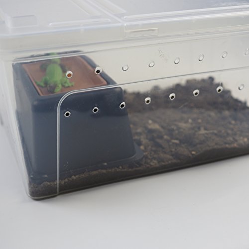 OMEM Reptile Hideout Box with Sink to Increase Humidity and Water Supply