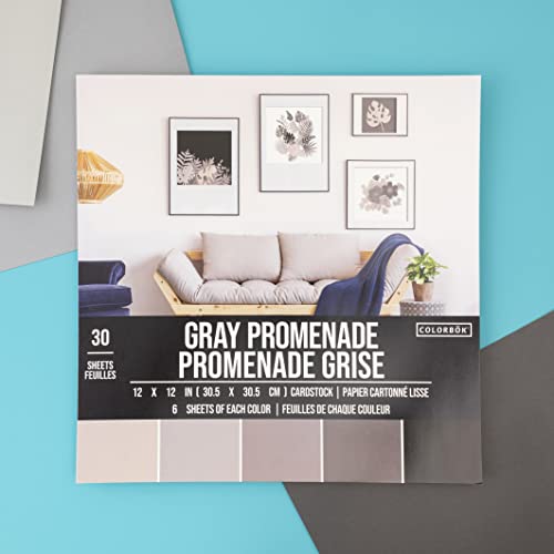 Colorbok - 71880A Smooth Cardstock Paper Pad, 12" x 12", Gray Promenage