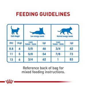 Royal Canin Feline Weight Care Adult Dry Cat Food, 6 lb bag