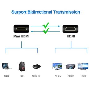 Rankie Mini HDMI to HDMI Cable, High Speed Supports Ethernet 3D and Audio Return (6 Feet)