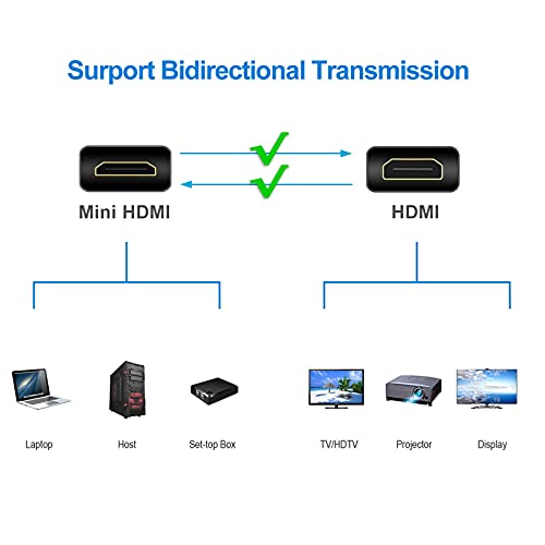 Rankie Mini HDMI to HDMI Cable, High Speed Supports Ethernet 3D and Audio Return (6 Feet)