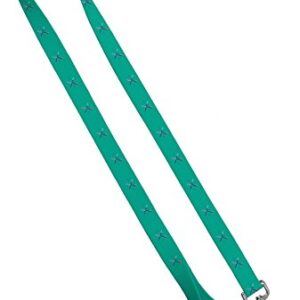 Moose Pet Wear Deluxe Dog Leash - Patterned Heavy Duty Pet Leashes, Made in The USA – 1 Inch x 4 Feet, PDX Carpet