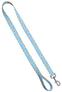 moose pet wear standard leash 1" x 4', daisy