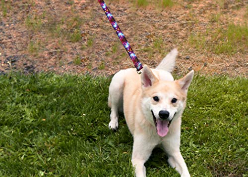 Moose Pet Wear Deluxe Dog Leash - Patterned Heavy Duty Pet Leashes, Made in the USA - 1 Inch x 6 Feet, Blue Smoke