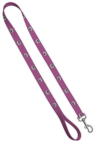 Moose Pet Wear Dog Leash – University of Iowa Hawkeyes Pet Leash, Made in the USA – 1 Inch Wide x 6 Feet Long, Pink Carbon Fiber