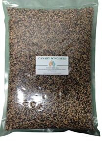 canary song seed 5lb-improve singing