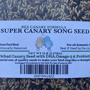 Canary Song Seed 5lb-Improve Singing