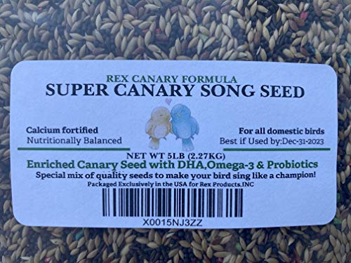 Canary Song Seed 5lb-Improve Singing