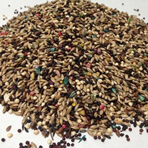 Canary Song Seed 5lb-Improve Singing