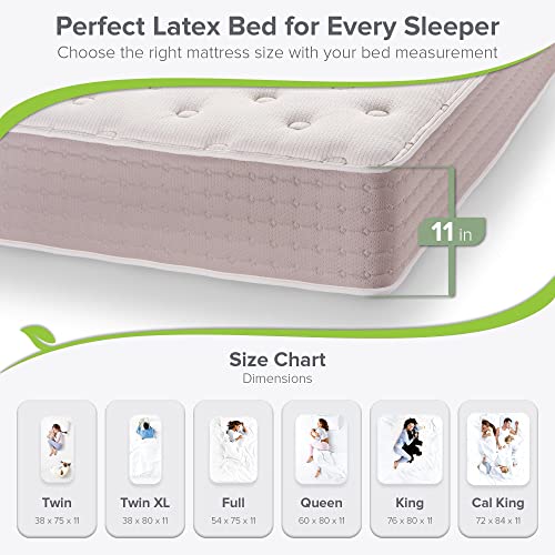 Eco Terra | Natural Latex | Luxury Hybrid Mattress | Medium Mattress with Encased Coil Spring | Twin