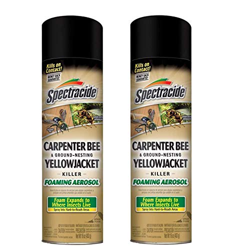 Spectracide Carpenter Bee & Ground-Nesting Yellowjacket Killer Foaming Aerosol (HG-53371) (Pack of 2), for Insects