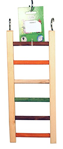 A&E CAGE COMPANY HB46417 Happy Beaks Wooden Hanging Ladder, 14 Inch, Multicolor