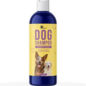 cleansing dog shampoo for smelly dogs - refreshing colloidal oatmeal dog shampoo for dry skin and cleansing dog bath soap - moisturizing lavender and oatmeal shampoo for dogs and great smelling pups