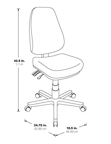 Office Star Ergonomic Dual Function Office Task Chair with Adjustable Padded Back and Built-in Lumbar Support, Armless, Dillon Black Fabric