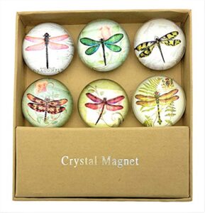 value arts glass dome dragonfly magnets, assorted set of 6