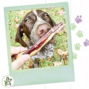 Nature Gnaws Bully Sticks for Large Dogs - Premium Natural Beef Dental Bones - Thick Long Lasting Dog Chew Treats for Aggressive Chewers - Rawhide Free