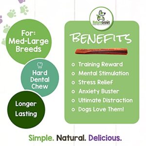 Nature Gnaws Bully Sticks for Large Dogs - Premium Natural Beef Dental Bones - Thick Long Lasting Dog Chew Treats for Aggressive Chewers - Rawhide Free