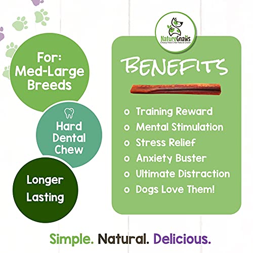 Nature Gnaws Bully Sticks for Large Dogs - Premium Natural Beef Dental Bones - Thick Long Lasting Dog Chew Treats for Aggressive Chewers - Rawhide Free