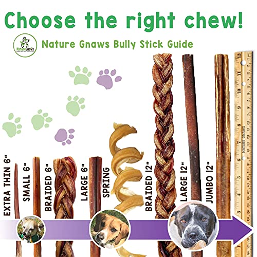 Nature Gnaws Bully Sticks for Large Dogs - Premium Natural Beef Dental Bones - Thick Long Lasting Dog Chew Treats for Aggressive Chewers - Rawhide Free