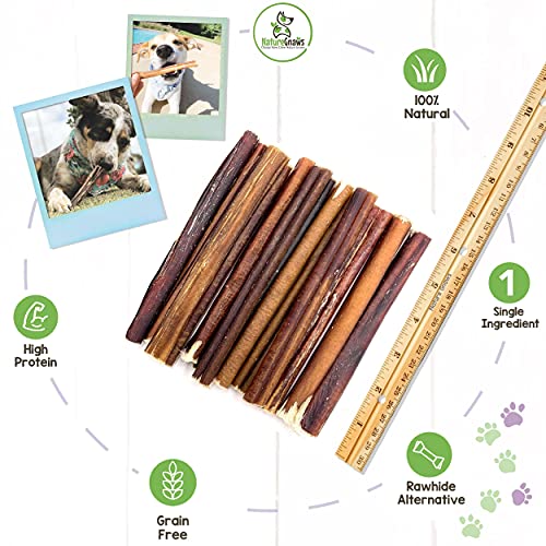 Nature Gnaws Bully Sticks for Large Dogs - Premium Natural Beef Dental Bones - Thick Long Lasting Dog Chew Treats for Aggressive Chewers - Rawhide Free