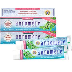 auromere ayurvedic herbal toothpaste, cardamom fennel, foam free - vegan, natural, non gmo, sls free, fluoride free, gluten free, with neem & peelu (4.16 oz), 2 pack