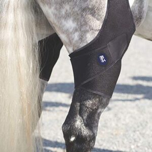 ice horse pair of stifle wraps for equine therapy - comes with 4 ice packs