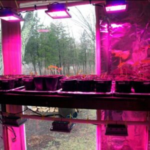 ACKE LED Grow Lights Full Spectrum,Plant Lights，Growing Lamps 12W for Indoor Plants,Hydropoincs