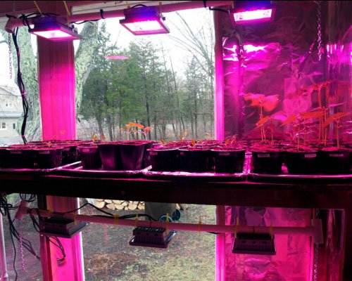 ACKE LED Grow Lights Full Spectrum,Plant Lights，Growing Lamps 12W for Indoor Plants,Hydropoincs